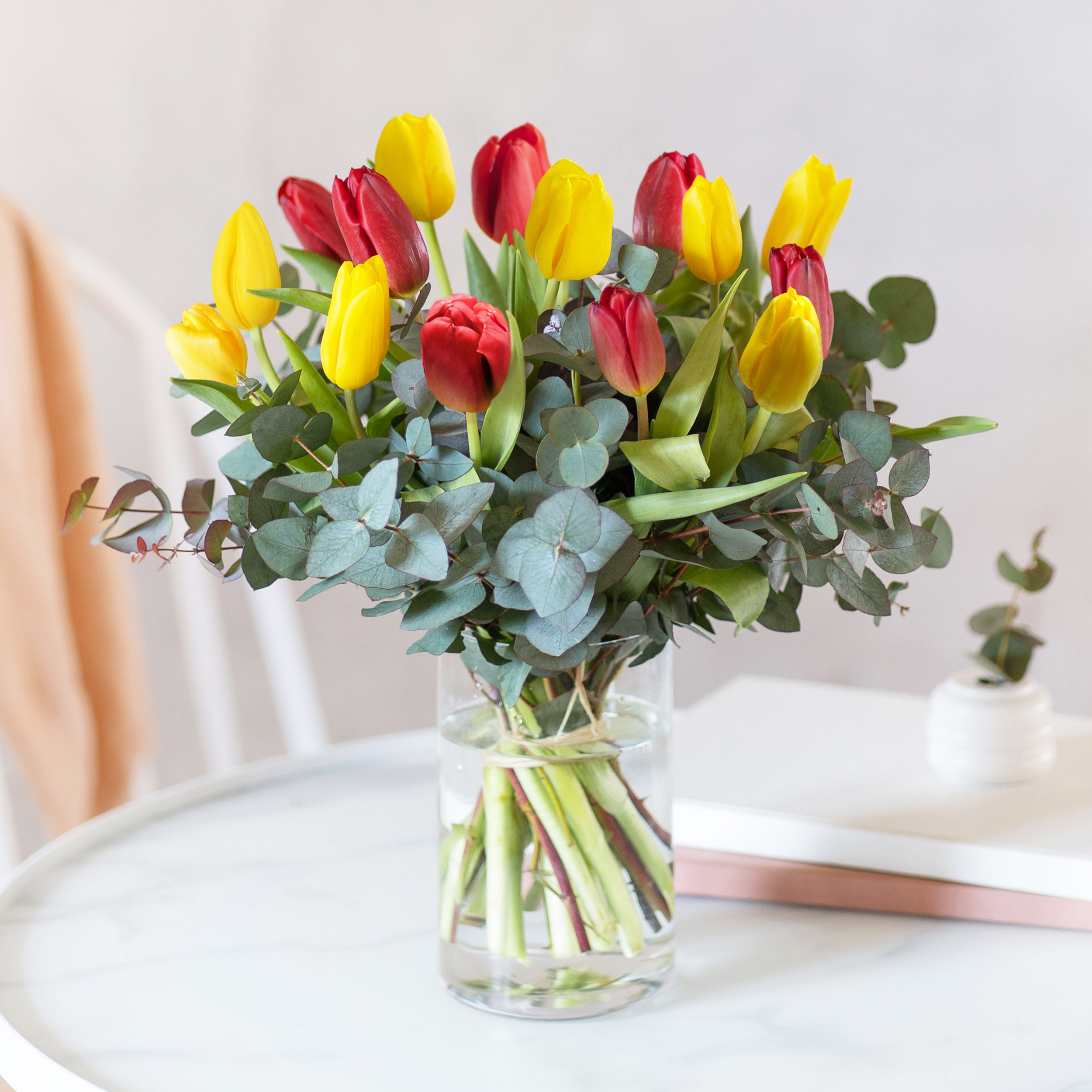 Tulipanes de Holanda 🌷 origen, floración y cuidados | Interflora