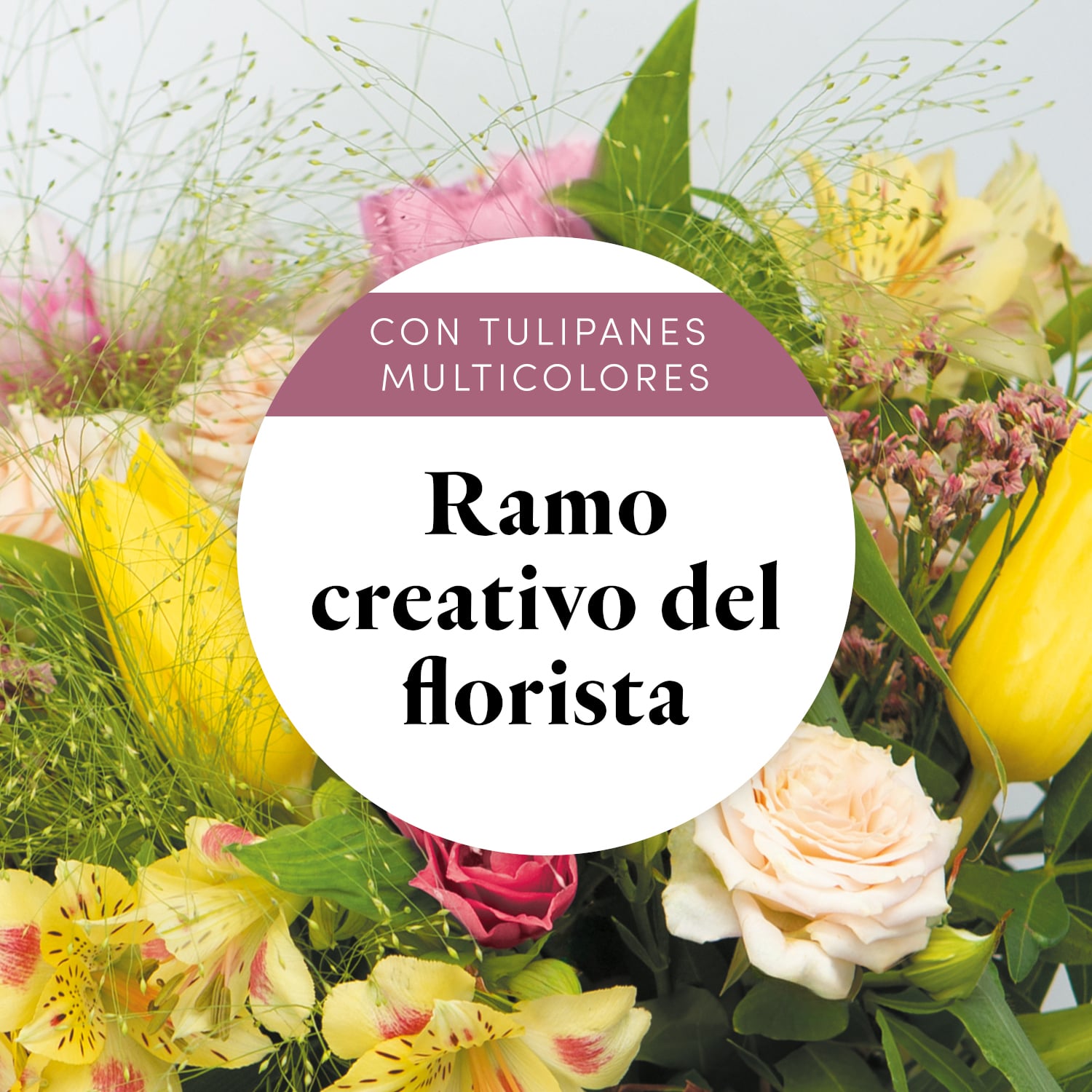 Tulipanes de Holanda 🌷 origen, floración y cuidados | Interflora